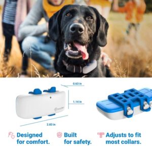 Tractive Waterproof GPS Dog Trackers - Location & Activity, Unlimited Range & Works with Any Collar (Pack of 2)