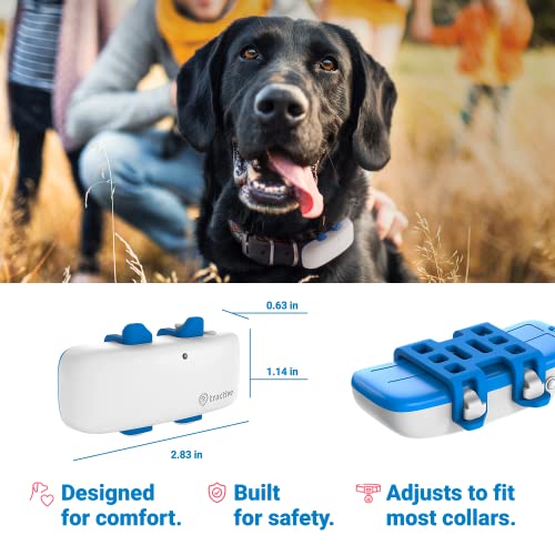 Tractive Waterproof GPS Dog Trackers - Location & Activity, Unlimited Range & Works with Any Collar (Pack of 2)