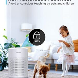 Air Purifier for Bedroom, H13 True HEPA Air Purifier for Home Large Room Up to 1722ft², with Night Light, 4 Timer, Light, Child Lock for Allergies Pets Dust Smoke Pollen Dander Hair Smell and Dog Odor