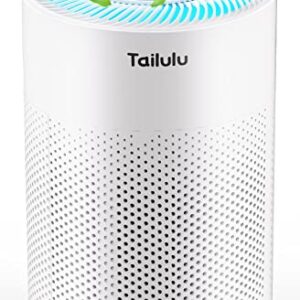 Air Purifier for Bedroom, H13 True HEPA Air Purifier for Home Large Room Up to 1722ft², with Night Light, 4 Timer, Light, Child Lock for Allergies Pets Dust Smoke Pollen Dander Hair Smell and Dog Odor