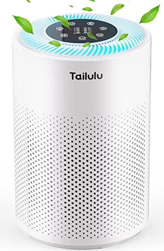 Air Purifier for Bedroom, H13 True HEPA Air Purifier for Home Large Room Up to 1722ft², with Night Light, 4 Timer, Light, Child Lock for Allergies Pets Dust Smoke Pollen Dander Hair Smell and Dog Odor