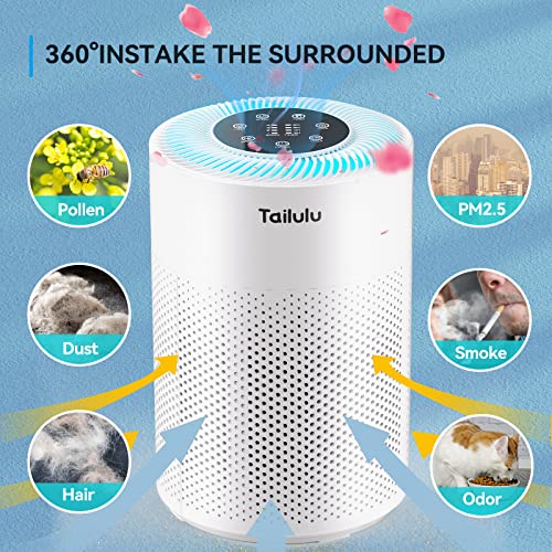 Air Purifier for Bedroom, H13 True HEPA Air Purifier for Home Large Room Up to 1722ft², with Night Light, 4 Timer, Light, Child Lock for Allergies Pets Dust Smoke Pollen Dander Hair Smell and Dog Odor