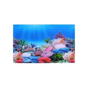 balacoo fish tank background fish tank 10 gallon aquarium background sticker 3d double- sided durable wallpaper fish tank backdrop decorative pictures 3d aquarium background 3d aquarium background