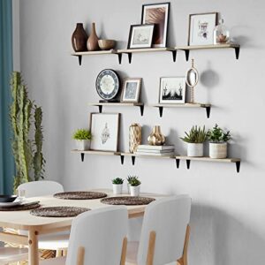 Wallniture Arras Floating Shelves for Wall Storage, Bookshelf Living Room Decor, Kitchen Organization and Storage, 17"x 4.5" Wall Shelves for Bedroom Natural Set of 8