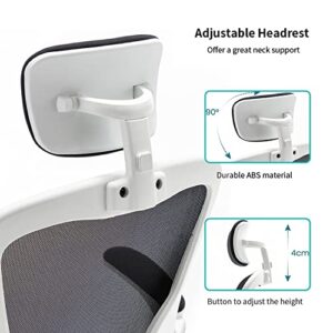 HOUSENLuxury Ergonomic Office Chair,Adjustable Height/Tilt Computer Desk Chair with Lumbar Support Armrest and Headrest,360-Degree Swivel Home Office Chair, 300Lb Capacity White