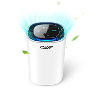 calody air purifiers for bedroom home, car air purifier ionizer, 15 million negative ions for smokers, 30db quiet portable ionic air purifiers, helps alleviate allergies, dust, smoke and more — ideal for traveling, home, and office use