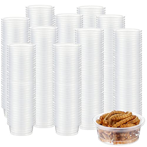 EBOOT 500 Pcs Gecko Food and Water Cups Small Plastic Feeder Cups Reptiles Accessories Reptile Water Bowl Gecko Food Cups Reptile Feeding Bowls for Gecko Lizards Tarantula and Other Small Pets (0.5oz)