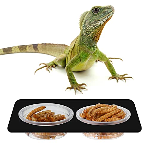 EBOOT 500 Pcs Gecko Food and Water Cups Small Plastic Feeder Cups Reptiles Accessories Reptile Water Bowl Gecko Food Cups Reptile Feeding Bowls for Gecko Lizards Tarantula and Other Small Pets (0.5oz)