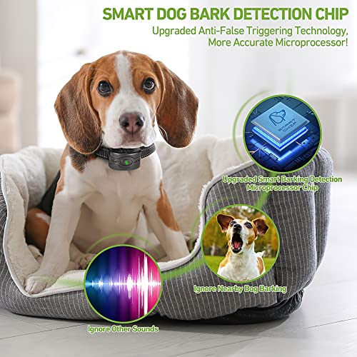 2 Pack Rechargeable Dog Bark Collar, Anti Barking Collar with 5 Sensitivity, No Shock Bark Collar with Vibration&5 Variable Beep, IP67 Waterproof Smart Bark Training Collar for Large Medium Small Dogs