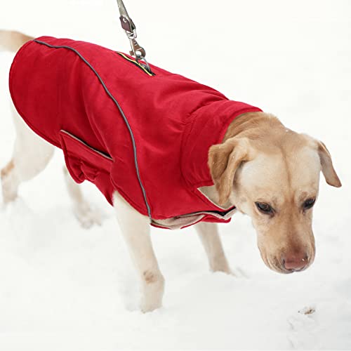 2 Pieces Dog Cold Weather Coats, Waterproof Windproof Reversible Winter Dog Jacket Clothes Zippered Dog Winter Coat Padded Warm Pets Reflective Winter Vest for Small Medium Large Dogs Pets, Green, Red