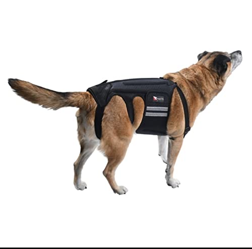 Dog Back Brace for Dogs Arthritis, Dogs Back Disease Prevention, Pet Back Bracer, Surgical Recovery and Rehabilitation Back Protector Helps Pain Relief (Small)