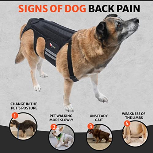 Dog Back Brace for Dogs Arthritis, Dogs Back Disease Prevention, Pet Back Bracer, Surgical Recovery and Rehabilitation Back Protector Helps Pain Relief (Small)