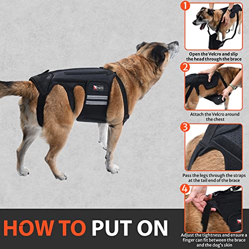 Dog Back Brace for Dogs Arthritis, Dogs Back Disease Prevention, Pet Back Bracer, Surgical Recovery and Rehabilitation Back Protector Helps Pain Relief (Small)