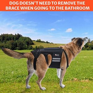 Dog Back Brace for Dogs Arthritis, Dogs Back Disease Prevention, Pet Back Bracer, Surgical Recovery and Rehabilitation Back Protector Helps Pain Relief (Small)