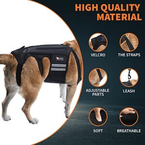 Dog Back Brace for Dogs Arthritis, Dogs Back Disease Prevention, Pet Back Bracer, Surgical Recovery and Rehabilitation Back Protector Helps Pain Relief (Small)