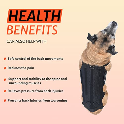 Dog Back Brace for Dogs Arthritis, Dogs Back Disease Prevention, Pet Back Bracer, Surgical Recovery and Rehabilitation Back Protector Helps Pain Relief (Small)