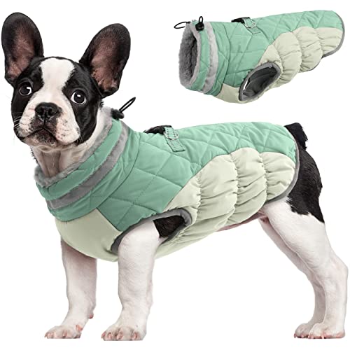 FUAMEY Dog Winter Jacket,Dog Cold Weather Coats Paded Dog Vest with Harness Built in Pet Warm Clothes Dog Apparel with Back Zipper Dog Water Resistant Coat for Small Medium Large Dogs Mint Green XS