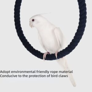 Barn Eleven Bird Swing, Cage Hanging Toys Cotton Rope Swing Bite Resistance Perches Bird Cage Perches Toy Parrot Toy Boredom Breaker for Budgie, Cockatiels, Conures, Finches, Small Parakeets (Green)