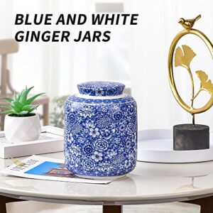 No Name No Seal Ginger Jar Decorative Jar Ancient Chinese Imperial Enamel Porcelain (Small, Blue,White)