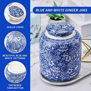 No Name No Seal Ginger Jar Decorative Jar Ancient Chinese Imperial Enamel Porcelain (Small, Blue,White)