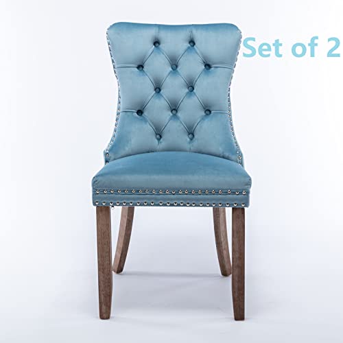 Danxee Dining Chair Tufted Upholstered Armless Chair with Solid Wood Legs Tall Back Set of 2 (Light Blue)