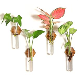 husslean plant propagation station terrarium,glass propagation stations wall hanging planter tubes for garden office decoration,plant lover gifts (4 vase)