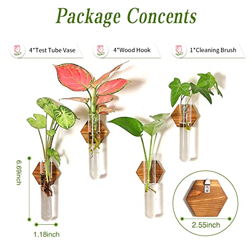 HUSSLEAN Plant Propagation Station Terrarium,Glass Propagation Stations Wall Hanging Planter Tubes for Garden Office Decoration,Plant Lover Gifts (4 Vase)