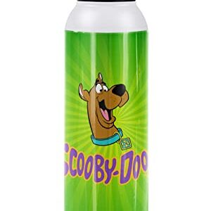 Scooby Doo! OFFICIAL Burst 24 oz Insulated Canteen Water Bottle, Leak Resistant, Vacuum Insulated Stainless Steel with Loop Cap, White