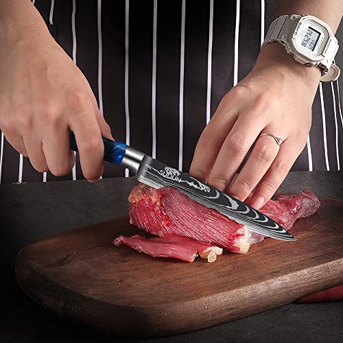 SUDUN 8 Inch Professional Kitchen Knife,Super Stainless Steel Chefs Knife, Ultra Sharp Blade, German High Carbon Stainless Steel Kitchen Chopping Knife with Resin Handle and Gift Box