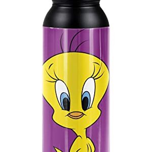 Looney Tunes OFFICIAL Tweety Bird Pose 24 oz Insulated Canteen Water Bottle, Leak Resistant, Vacuum Insulated Stainless Steel with Loop Cap, Black