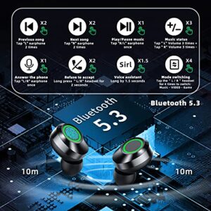 FADACHY Wireless Earbuds,Bluetooth 5.3 in Ear Headphones Built-in Microphon,HiFi Stereo Sound,LCD Recharger Case,Touch Control Earphones for Sport Running Waterproof,Black