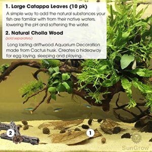 SunGrow Saver Bundle Pack - Catappa Leaves 10Pcs/Pack + Large Leaf Hammock