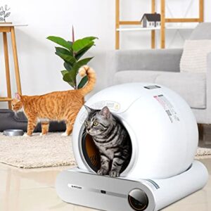 Self-Cleaning Cat Litter Box, Automatic Cat Litter Box PETCADO 24H for No Scooping with APP Control, Odor Removal, Safe Lock, Litter Mat, Quiet for Multiple Cats and All Kinds of Clumping Cat Litter