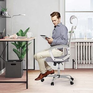 Desk Chair - Office Chair High Back Mesh Computer Chair with Lumbar Support Adjustable Height Swivel Home Office Chair