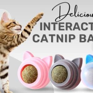 XanderPets Catnip Balls That Stick On Wall - Cat Nips Organic - Magic Cat Balls - Interactive Toys for Indoor Cats - Essential Cat Accessories - USA 3 Pack (Tabby Grey)