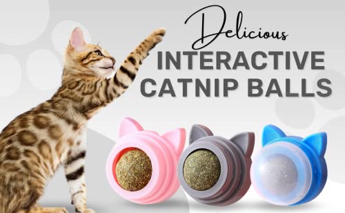 XanderPets Catnip Balls That Stick On Wall - Cat Nips Organic - Magic Cat Balls - Interactive Toys for Indoor Cats - Essential Cat Accessories - USA 3 Pack (Tabby Grey)