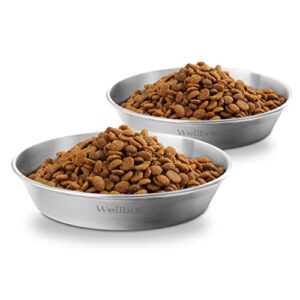 wellbro cat food bowls, 2 pcs stainless steel cat food and water bowls, whisker fatigue shallow cat dishes, small dog puppies fat faced cat kitten supplies