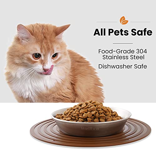 Wellbro Cat Food Bowls, 2 Pcs Stainless Steel Cat Food and Water Bowls, Whisker Fatigue Shallow Cat Dishes, Small Dog Puppies Fat Faced Cat Kitten Supplies