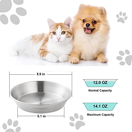 Wellbro Cat Food Bowls, 2 Pcs Stainless Steel Cat Food and Water Bowls, Whisker Fatigue Shallow Cat Dishes, Small Dog Puppies Fat Faced Cat Kitten Supplies