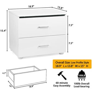 HOMMPA Small LED Nightstand White Modern Nightstand with led Light Matte LED Night Stand Bedside Table with 2 High Gloss Drawers for Children Bedroom Furniture 18.9" L x 13.8" W x 15.4" H