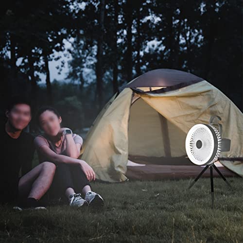 plplaaoo 4000mAh Tent Fan with 12 LED Lights,Camping Fan,Mute USB Rechargeable Battery Operated Desk Fan with Bracket,Hanging Hook,Remote Control,for Fishing, Camping,Office