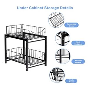 LASSRY 2-Tier Under Sink Organizer with Storage Drawers, Multi-Purpose Pull Out Cabinet Organizer Shelf, Sliding Under Cabinet Storage Rack, Metal Shelf Organizers for Kitchen, Bathroom(black)