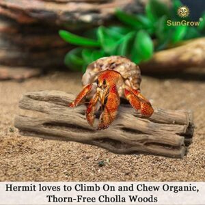 SunGrow Hermit Crab Woods, Climbing Logs, Chew Toy, Keep Hermies Busy and Active, Long Dried Aquarium Décor Adds Raw Beauty, 6 Pcs