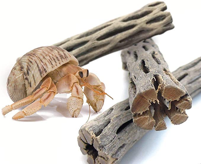 SunGrow Hermit Crab Woods, Climbing Logs, Chew Toy, Keep Hermies Busy and Active, Long Dried Aquarium Décor Adds Raw Beauty, 6 Pcs