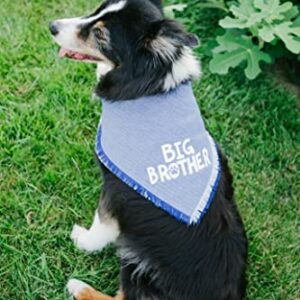 Everything Tailed Blue Big Brother Dog Bandana for Pregnancy Announcement, Pet Photo Prop, Handkerchief and/or Scarf for Dog, Fits Medium to Large Dogs