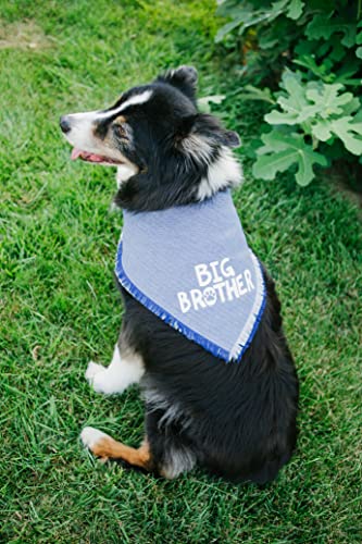 Everything Tailed Blue Big Brother Dog Bandana for Pregnancy Announcement, Pet Photo Prop, Handkerchief and/or Scarf for Dog, Fits Medium to Large Dogs