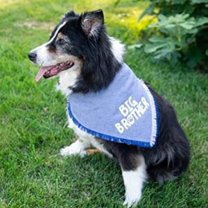 Everything Tailed Blue Big Brother Dog Bandana for Pregnancy Announcement, Pet Photo Prop, Handkerchief and/or Scarf for Dog, Fits Medium to Large Dogs