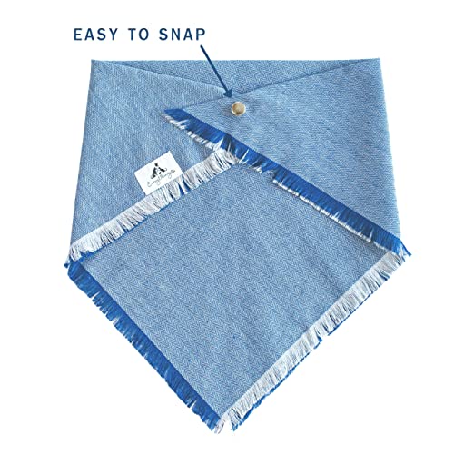 Everything Tailed Blue Big Brother Dog Bandana for Pregnancy Announcement, Pet Photo Prop, Handkerchief and/or Scarf for Dog, Fits Medium to Large Dogs