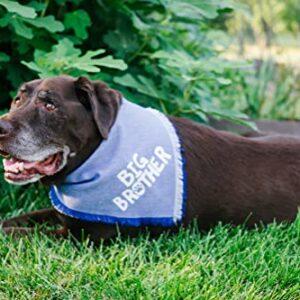 Everything Tailed Blue Big Brother Dog Bandana for Pregnancy Announcement, Pet Photo Prop, Handkerchief and/or Scarf for Dog, Fits Medium to Large Dogs