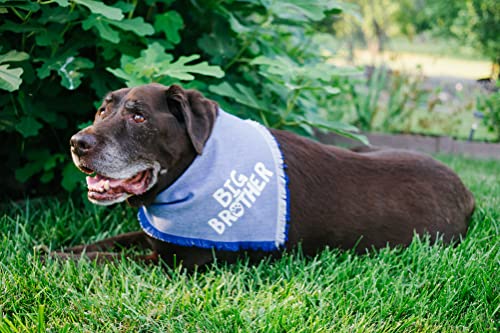 Everything Tailed Blue Big Brother Dog Bandana for Pregnancy Announcement, Pet Photo Prop, Handkerchief and/or Scarf for Dog, Fits Medium to Large Dogs